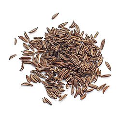 Amazon.com : CARAWAY SEED, WHOLE : Gourmet Spices Gifts : Grocery ...