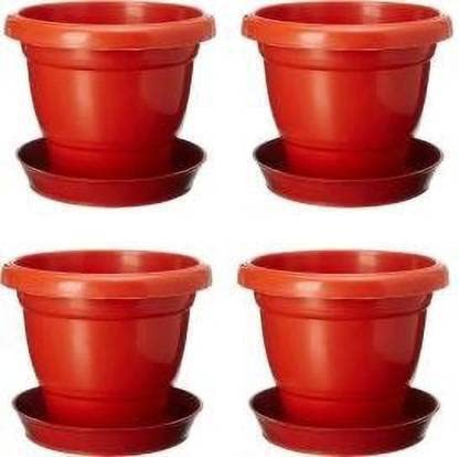 GOD OF GOODS (Pack of 5 with Tray 12 inches Round HighQuality Gardening ...