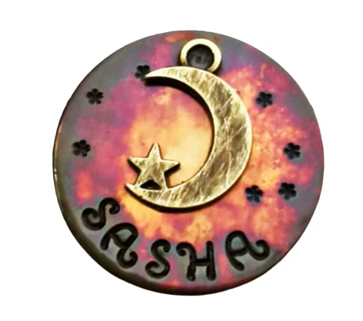 Amazon.com: Dog Tag for Dogs, Pet ID Tag, Pet Tag, Moon and Star Tag ...