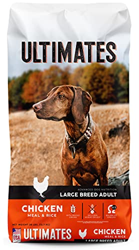 Discover the Ultimate Dog Food: 10 Best Products Reviewed and Compared ...