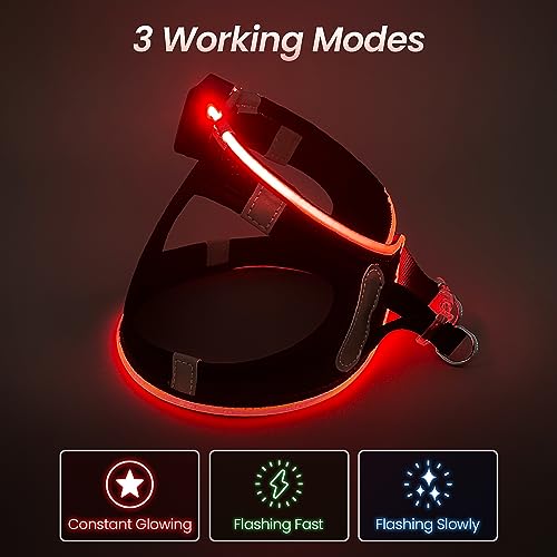 Light Up Dog Harness Rechargeable LED Dog Harness for Puppy Small ...
