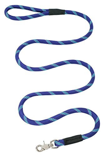 Cutting-Edge Canine Care: Discover the Best Scissor Leashes for a ...