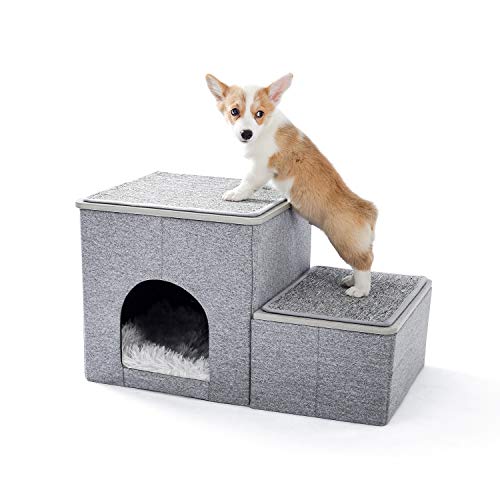 5 Best 2022 Vet Recommended Elevated Dog Beds with Stairs