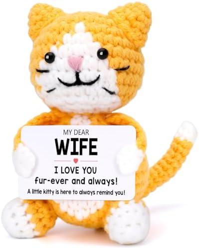 Amazon.com: Funny Cat Wife Gifts from Husband, Anniversary Birthday ...