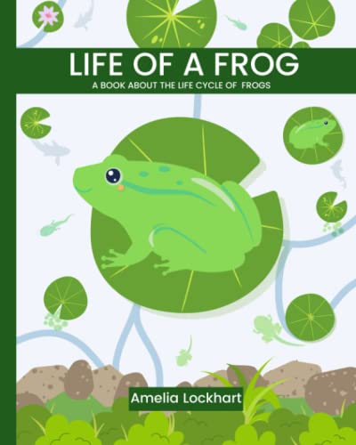 Life Cycles & Metamorphosis: Science Stations, Articles & Graphic ...