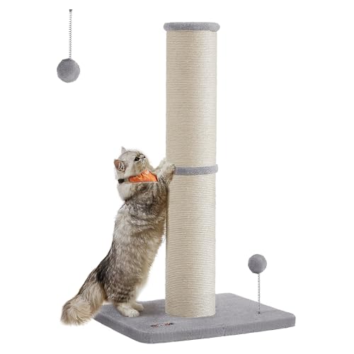 Cat Scratch Pole – The 15 best products compared - Wild Explained