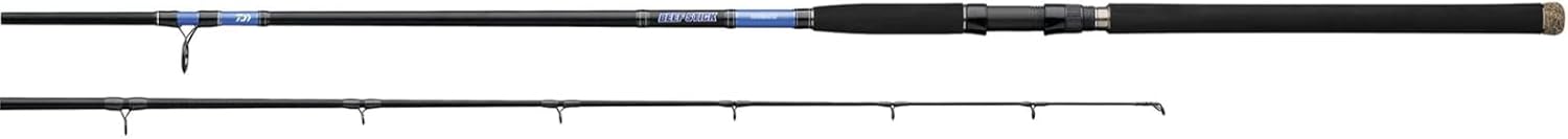 Amazon.com : Daiwa BEEFSTICK SURF Rod Sections 2 Line Wt 40 100 ...