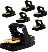Amazon.com : [𝐔𝐩𝐠𝐫𝐚𝐝𝐞𝐝 𝐕𝐞𝐫𝐬𝐢𝐨𝐧] Mouse Traps Indoor for Home – Reusable ...