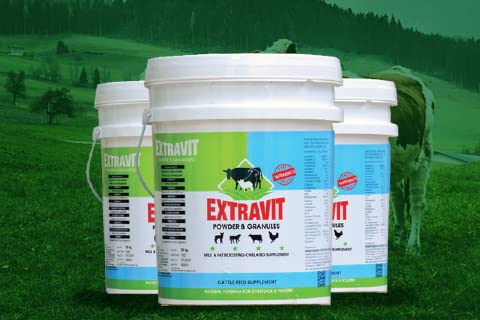 Marygreen Exports Extravit Powder with Granules | Mineral Mixture ...