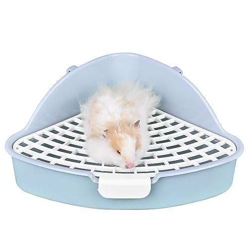 10 Must-Have Products for Your Adorable Ferret Babies: A Ultimate ...