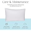 Amazon.com: East Coast Bedding Pillow Shell with No Filling, Standard ...