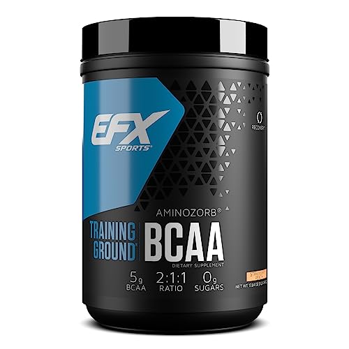 Snapklik.com : EFX Sports Training Ground BCAA Fully Stable, Highly ...