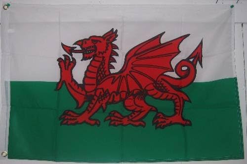 Amazon.com : 2x3 WALES FLAG - 2 foot x 3 foot - Welsh DRAGON FLAG ...