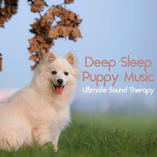Deep Sleep Puppy Music: Ultimate Sound Therapy : Relaxmydog, Dog Music ...