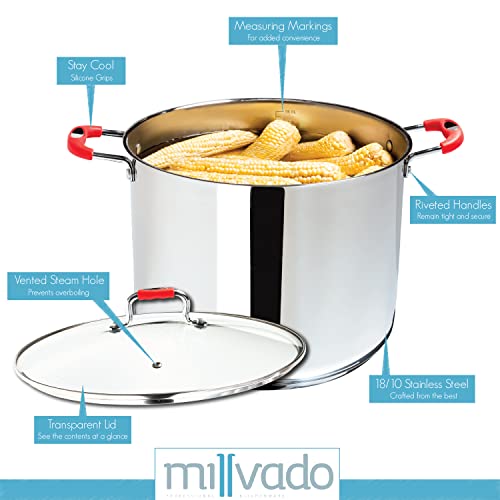 Millvado Stock Pot, Large Stainless Steel 12.5 Quart StockPot, Large ...