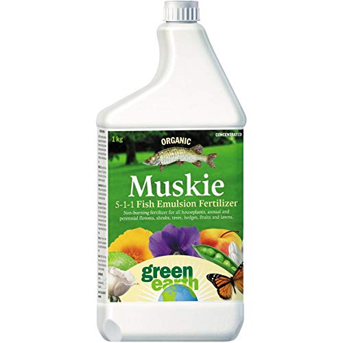 Amazon.com : Green Earth 1kg 5-1-1 Fish Emulsion Fertilizer : Patio ...