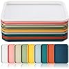 Amazon.com: 18 Pcs Plastic Fast Food Trays Bulk Colorful Restaurant ...