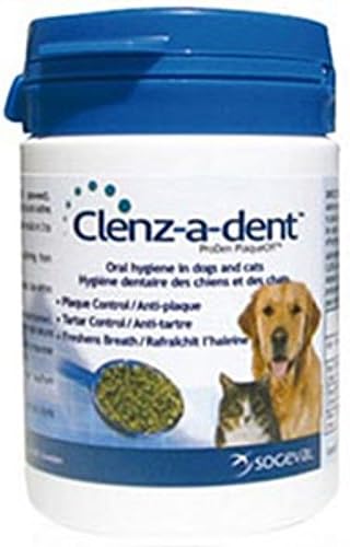 Amazon.com : Clenz A Dent Food Additive (40 gm) : Pet Dental Care ...