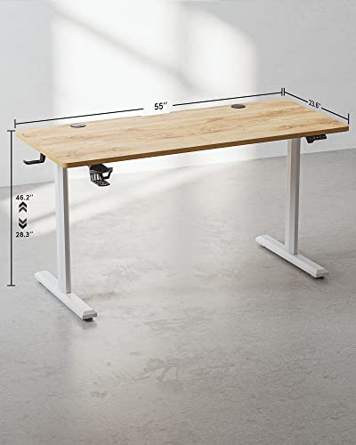 Snapklik.com : 55"x24" Standing Desk, Electric Stand Up Height ...