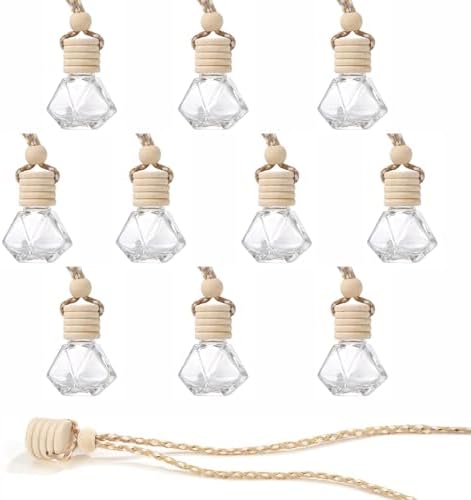 LSRVNM 10 Pieces 8ml Car Hanging Perfume Bottles, Fragrance Essential ...