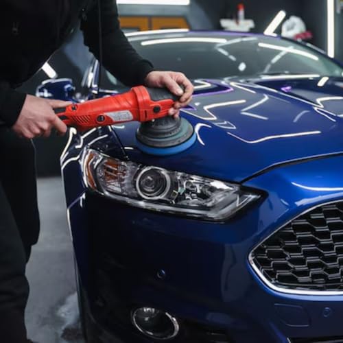 Amazon.com: Detail Royale (Comprehensive Auto Detailing) : rankorbit788 ...