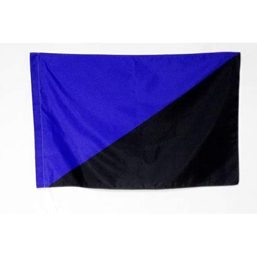 Amazon.com : Anarcho-transhumanism Flag 2' x 3' for a pole - Anarchist ...