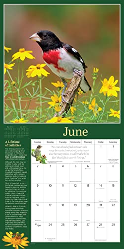 Snapklik.com : Audubon Birds In The Garden Wall Calendar 2024: Use ...
