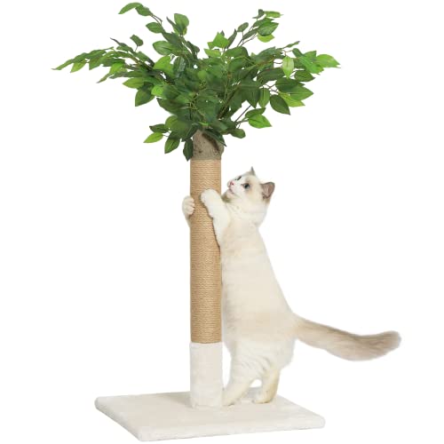 Cat Aesthetic – The 15 best products compared - Wild Explained
