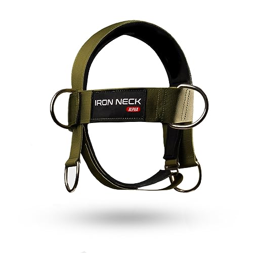 Neck Harness Workout – The 15 best products compared - Wild Explained