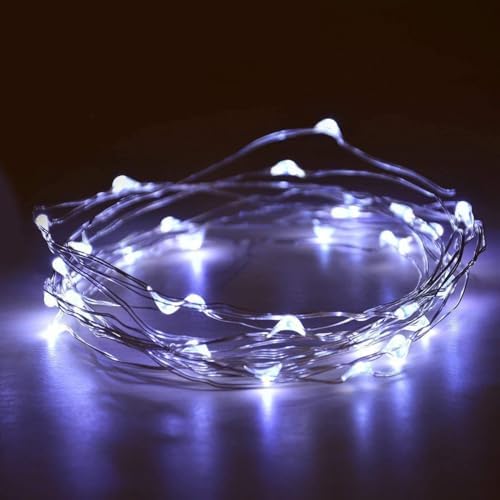 2 Pack Battery Operated 2M 20 LED Silver Wire Fairy String Lights LED ...