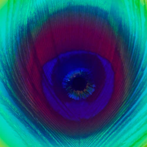 Amazon.co.jp: Allt það sem ég var [Explicit] : Aron Can: Digital Music