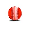Flash Rubber Synthetic Ball i10 for Cricket Practice (Regular Size ...