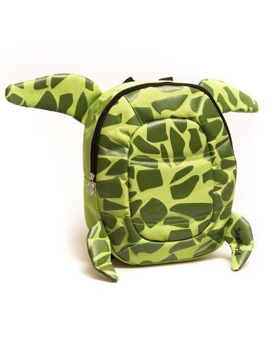 Turtle Shell Back Pack : Amazon.in: Bags, Wallets and Luggage