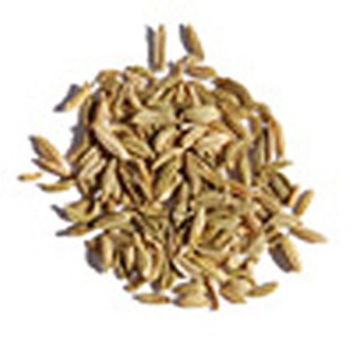 Amazon.com : Whole Spice Fennel Seed Organic, 5 Pound : Fennel Seeds ...