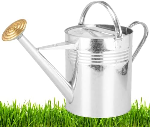 Trendi® Galvanized Metal Steel Watering Can with 9L Capacity (2 Gallons ...