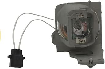 Amazon.com: BL-FP240E / SP.78V01GC01 Lamp Bulb Compatible with UHD300X ...