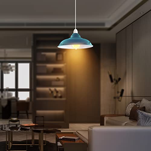 LEDSone Industrial Ceiling Pendant Light Shades, Retro Vintage Style ...