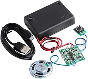 Amazon.com: Programmable Sound Recorder Module - 8MB DIY Voice ...