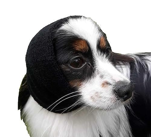 Thundershirt for Cats – The 15 best products compared - Wild Explained