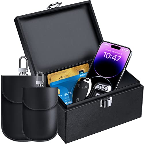 Best Faraday Boxes – Best Cost