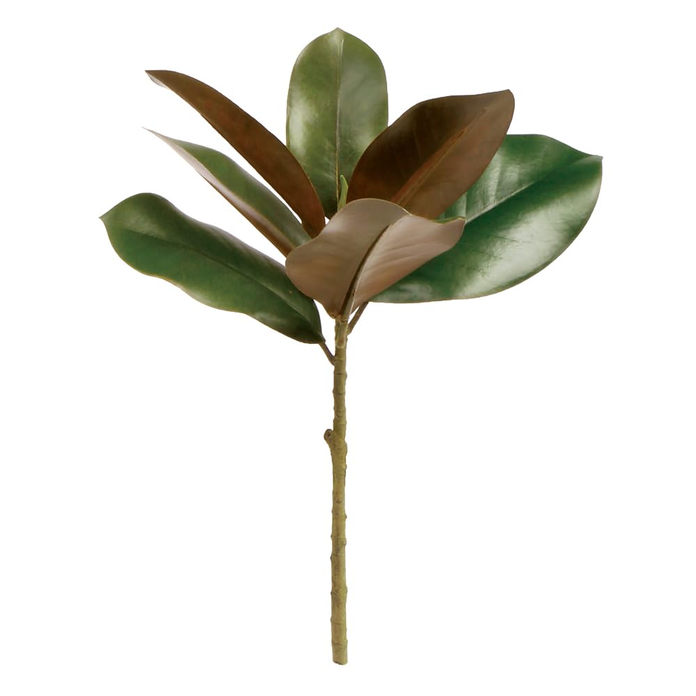 Amazon.com: NAPA Home & Garden Magnolia Pick 16"