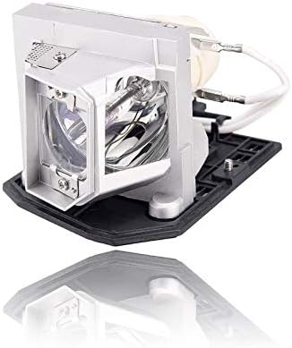 Amazon.com: BL-FU240A Replacement Projector Lamp with Housing for ...