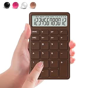 VEWINGL 12 Digit Calculator,Pocket & Desktop,White 4 Function Calculator with Large LCD Display ...