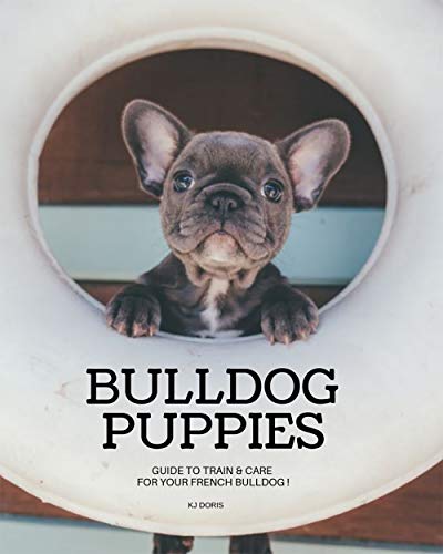 Bulldog Puppies : Guide to train & care for your french bulldog ...