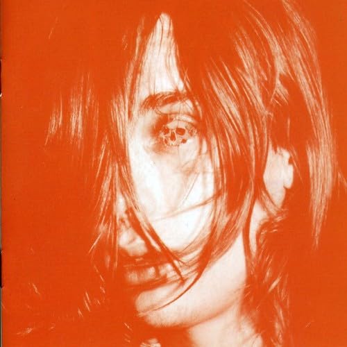 Microcastle: Drew Vandenberg, Nicolas Vernhes, David Barbe, Deerhunter ...