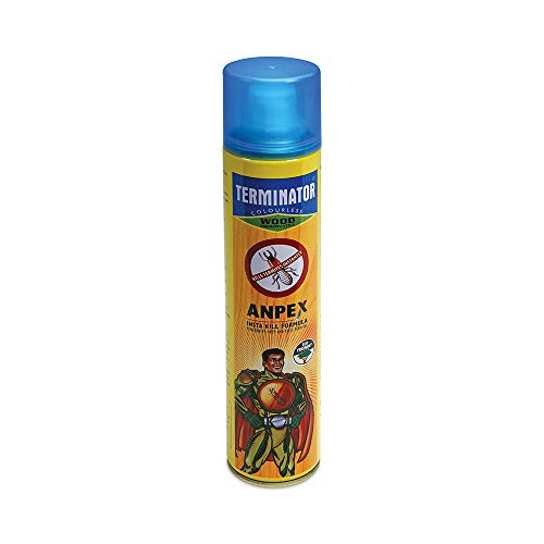 The Best Termite Killer Spray in India 2024 - World Blaze