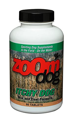 Unleash the Power of Pet Zoom with Our Top 10 Products Reviewed and ...