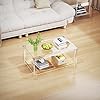 Amazon.com: solaround Acrylic Coffee Table with Storage Shelf,Rectangle ...