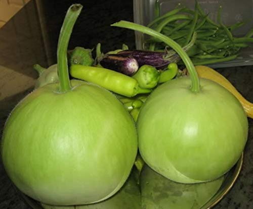 Green Round Gourds