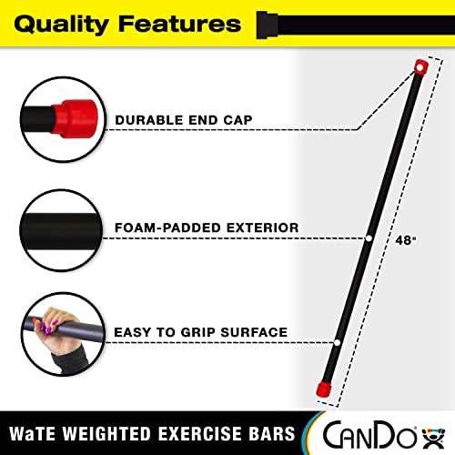 Snapklik.com : Jumbo WaTE Bar 25lb Gold, Total Body Workout Weighted ...